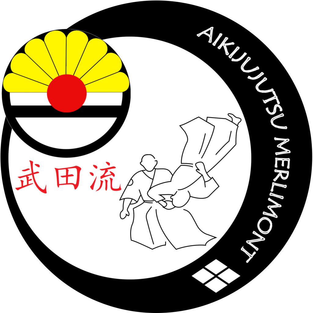 MAÎTRE MAROTEAUX – AIKI JUJUTSU TAKEDA RYU MERLIMONT